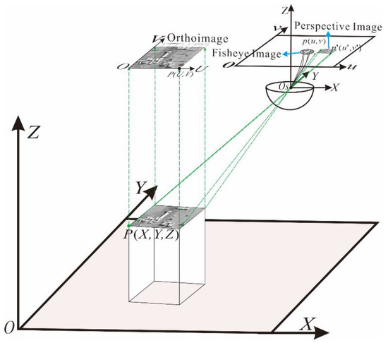 Orthorectification of Fisheye Image under Equidistant Projection Model