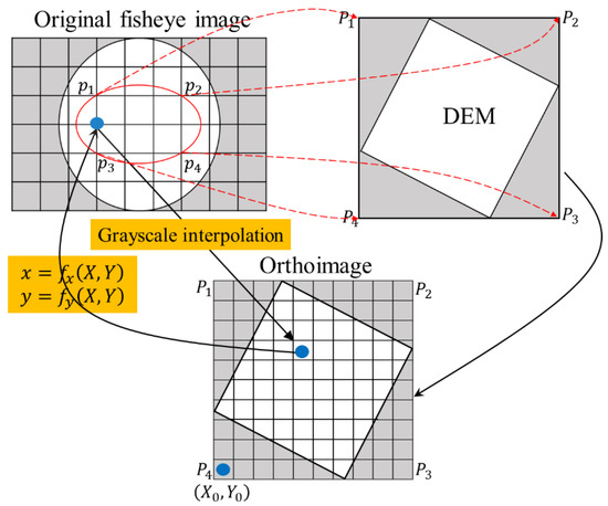Orthorectification of Fisheye Image under Equidistant Projection Model