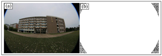 Orthorectification of Fisheye Image under Equidistant Projection Model