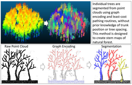 Remote Sensing | Free Full-Text | An Unsupervised Canopy-to-Root Pathing (UCRP) Tree ...