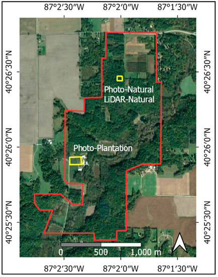 An Unsupervised Canopy-to-Root Pathing (UCRP) Tree Segmentation Algorithm for Automatic Forest ...