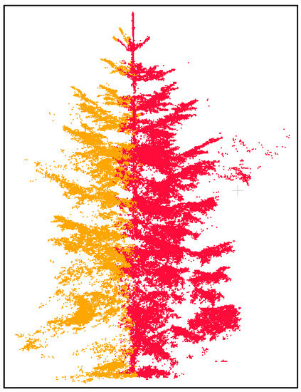 An Unsupervised Canopy-to-Root Pathing (UCRP) Tree Segmentation Algorithm for Automatic Forest ...