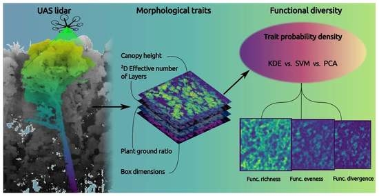 Remote Sensing | Free Full-Text | Considerations for Assessing Functional Forest Diversity in ...