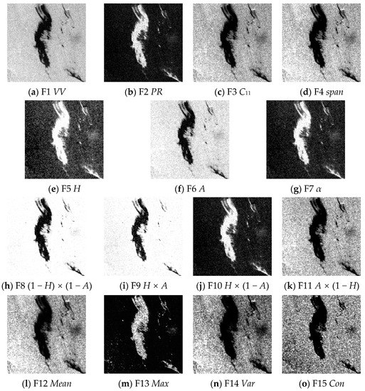 An Analysis of the Optimal Features for Sentinel-1 Oil Spill Datasets Based on an Improved J–M/K ...