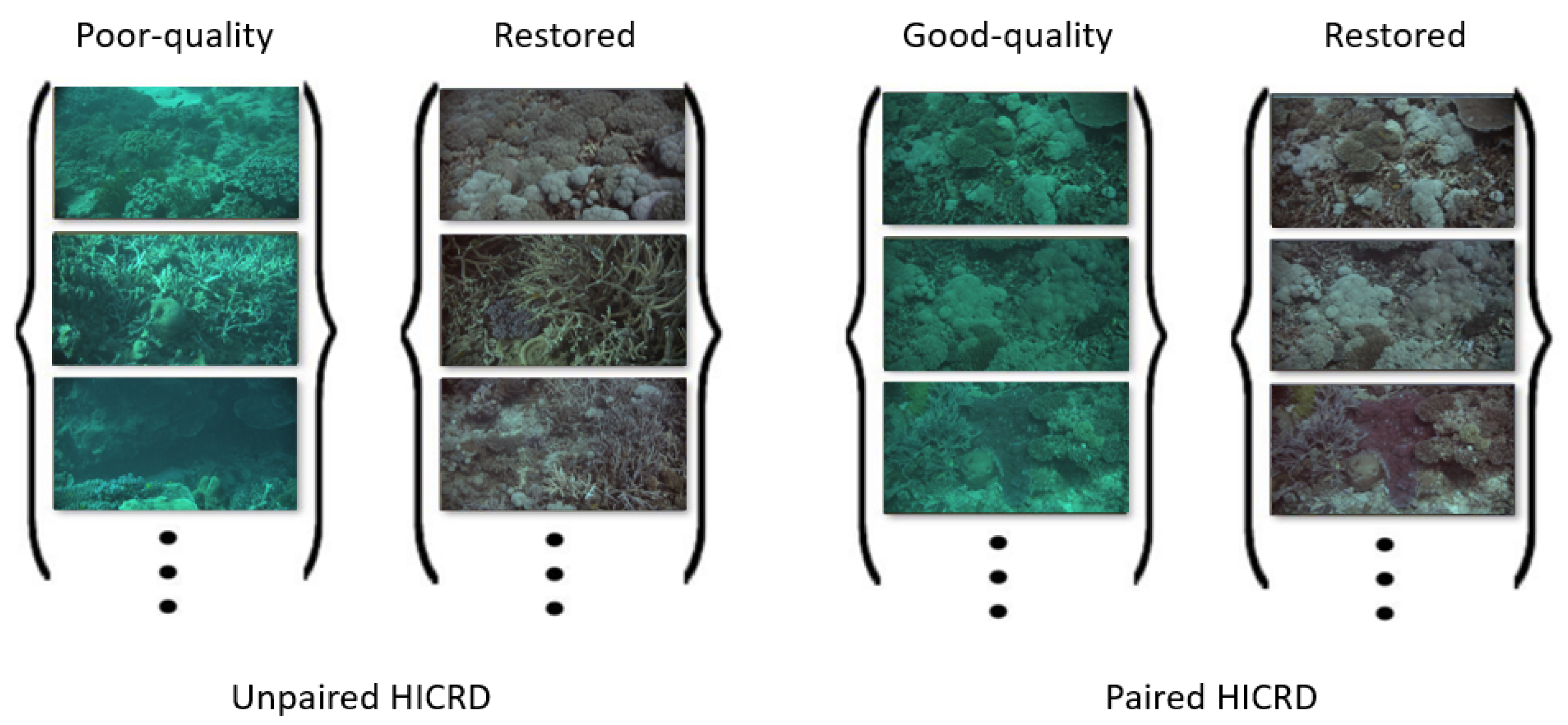 Underwater Image Restoration via Contrastive Learning and a Real-World ... Underwater Image Restoration via Contrastive Learning and a Real-World ...