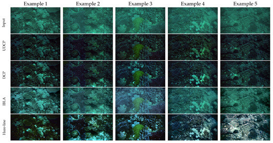 Underwater Image Restoration via Contrastive Learning and a Real-World ...