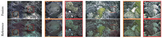 Underwater Image Restoration via Contrastive Learning and a Real-World ...