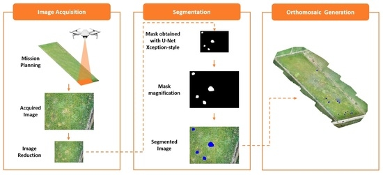 Remote Sensing | Free Full-Text | Cuscuta spp. Segmentation Based on Unmanned Aerial Vehicles ...