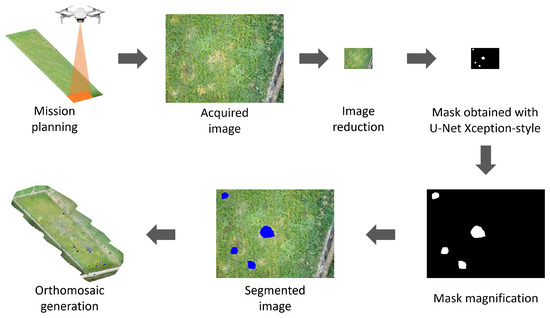 Cuscuta spp. Segmentation Based on Unmanned Aerial Vehicles (UAVs) and ...