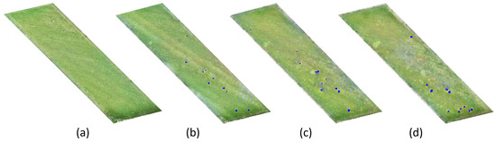 Remote Sensing | Free Full-Text | Cuscuta spp. Segmentation Based on ...