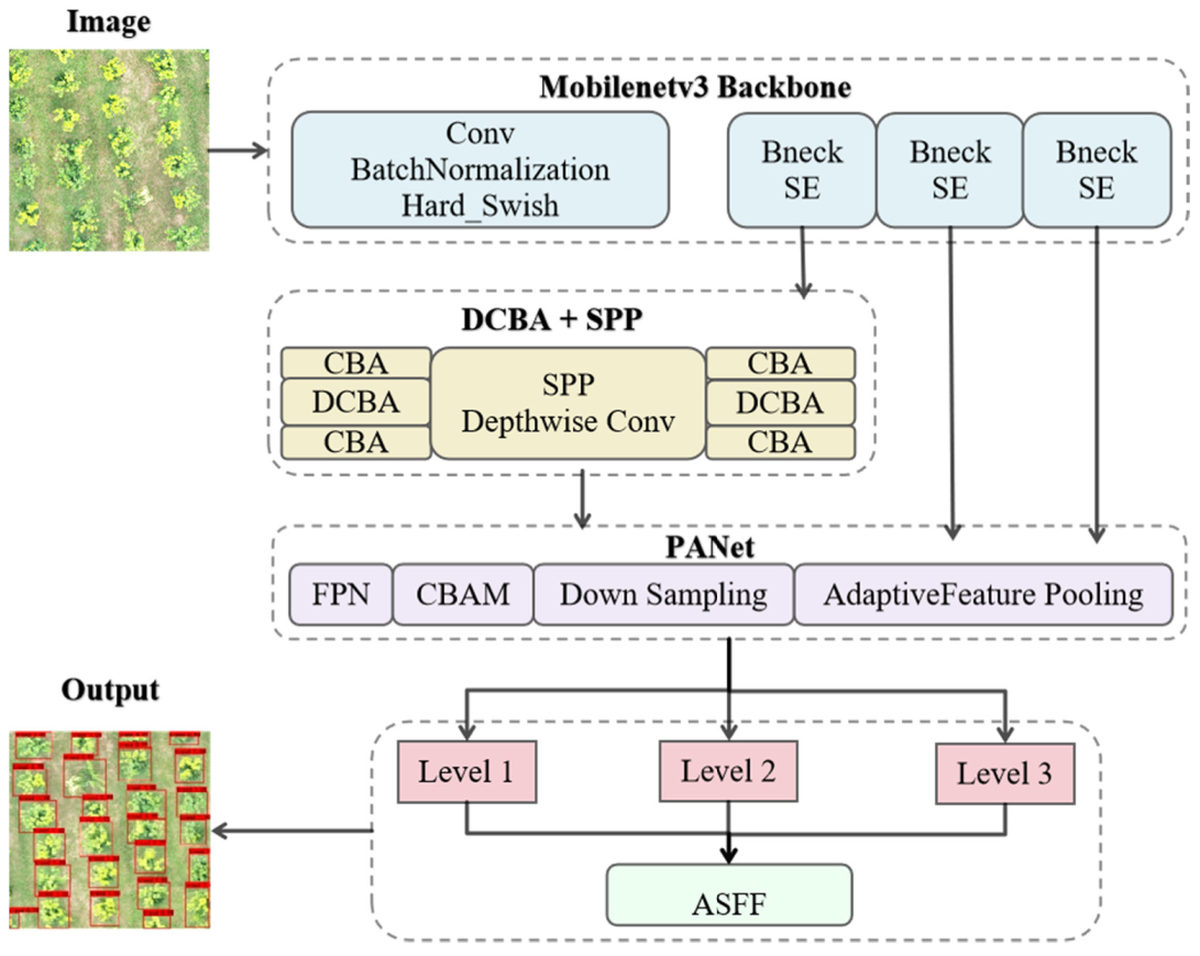 Remote Sensing Free Full Text Rapid Target Detection Of Fruit Trees Using Uav Imaging And