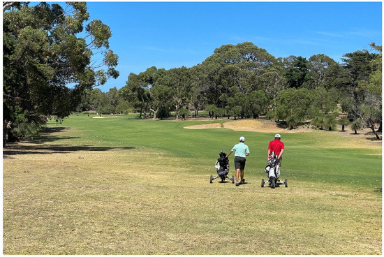 Cooling Effects of Urban Vegetation: The Role of Golf Courses