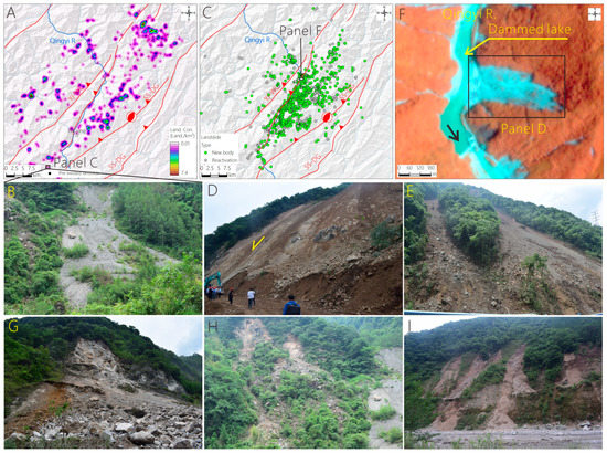 Insights into the Landslides Triggered by the 2022 Lushan Ms 6.1 Earthquake: Spatial ...