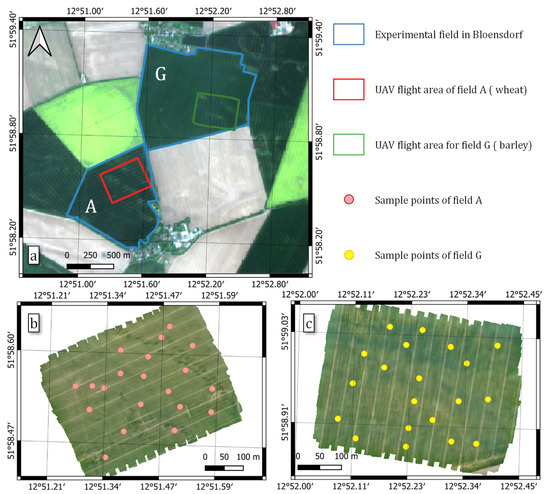 Remote Sensing | Free Full-Text | Crop Monitoring Using Sentinel-2 and UAV Multispectral Imagery ...