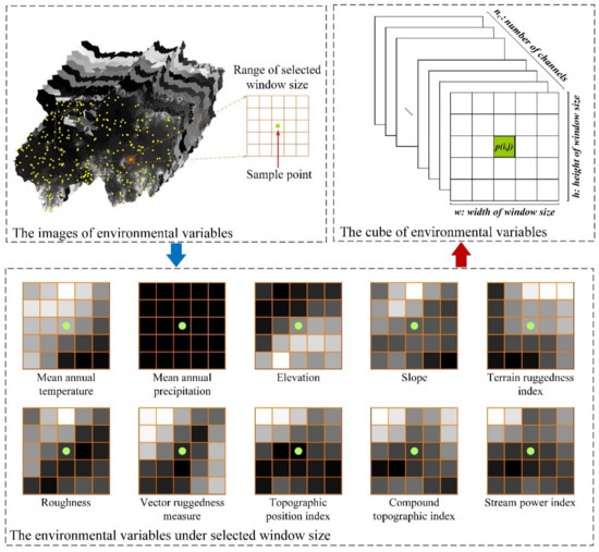 Remote Sensing | Free Full-Text | A CNN-LSTM Model for Soil Organic ...