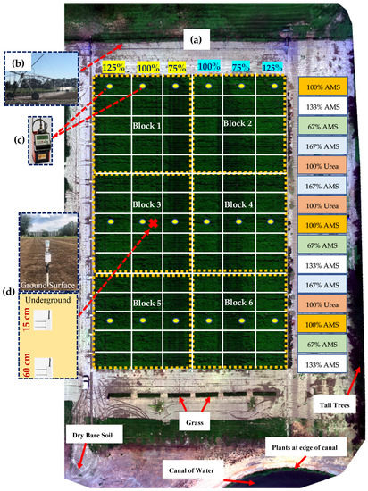 Remote Sensing | Free Full-Text | Assessing Suitability of Auto ...