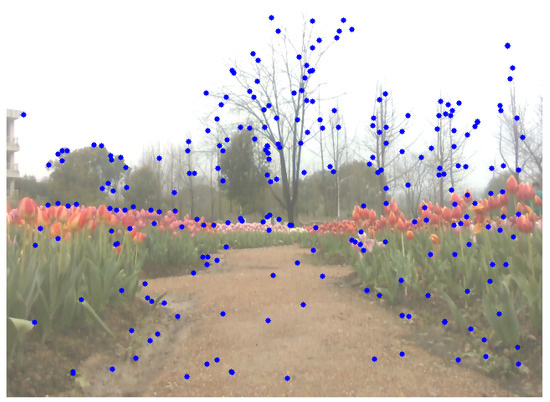 Horticultural Image Feature Matching Algorithm Based on Improved ORB ...