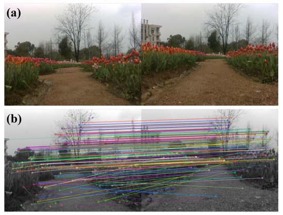 Horticultural Image Feature Matching Algorithm Based On Improved Orb And Lk Optical Flow