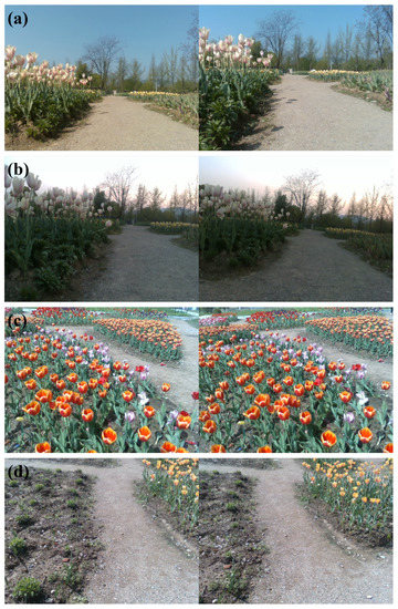Horticultural Image Feature Matching Algorithm Based On Improved Orb And Lk Optical Flow