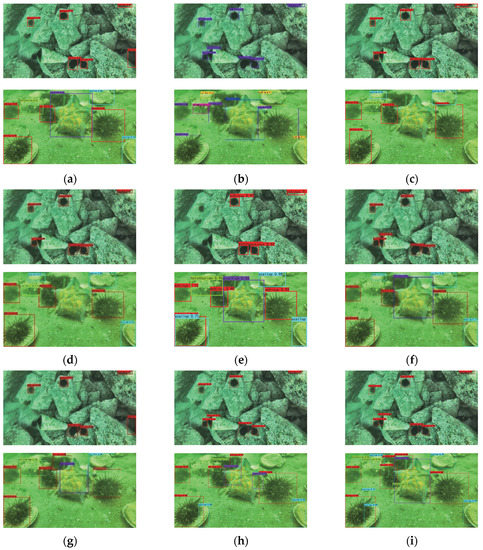 Underwater Object Detection Based on Improved EfficientDet