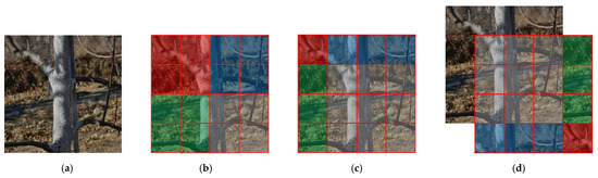 Branch Identification and Junction Points Location for Apple Trees ...
