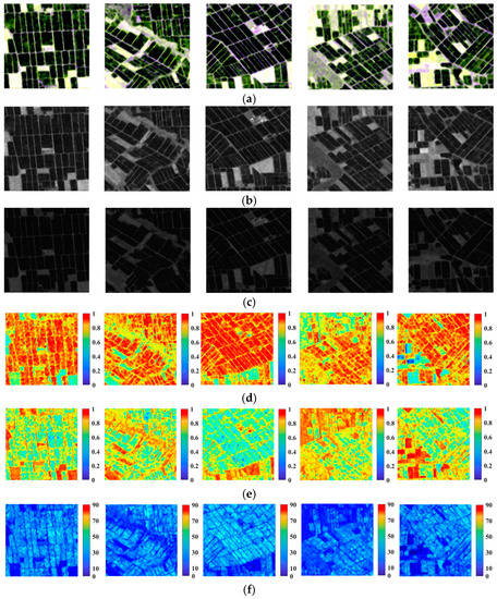 Rice Planting Area Identification Based on Multi-Temporal Sentinel-1 ...