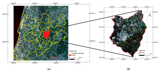 Vegetation Mapping with Random Forest Using Sentinel 2 and GLCM Texture ...