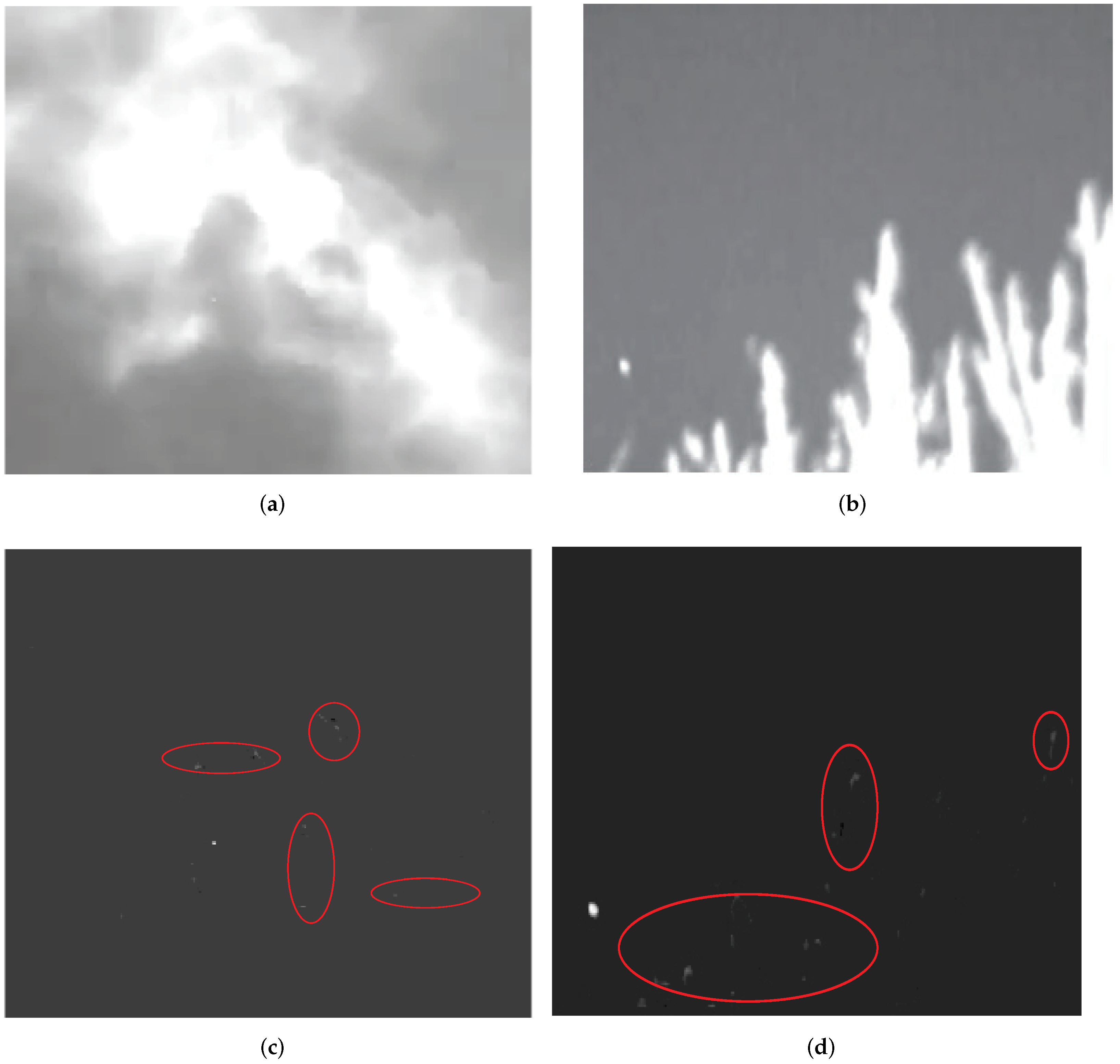 Remote Sensing Free Full Text Total Variation Weighted Low Rank Constraint For Infrared Dim