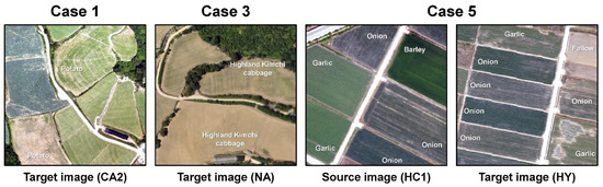 Unsupervised Domain Adaptation with Adversarial Self-Training for Crop ...