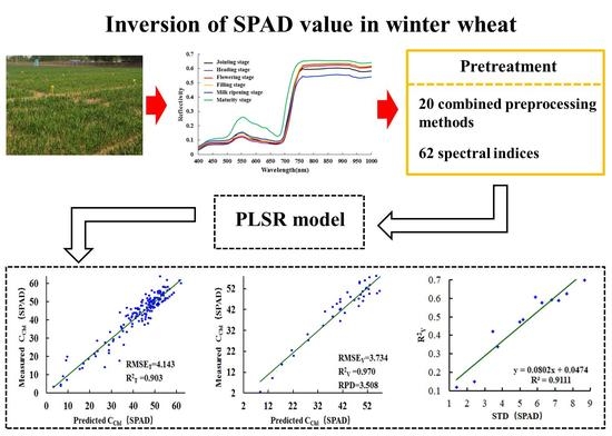 Remote Sensing | Free Full-Text | Winter Wheat SPAD Value Inversion Based on Multiple ...
