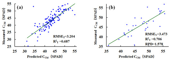 Winter Wheat SPAD Value Inversion Based on Multiple Pretreatment Methods