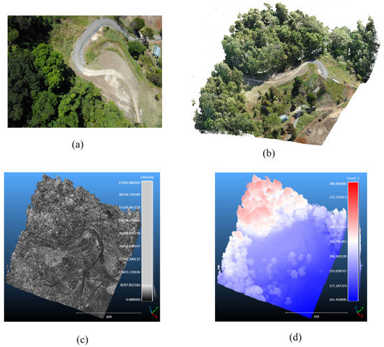 Review of Automatic Processing of Topography and Surface Feature ...