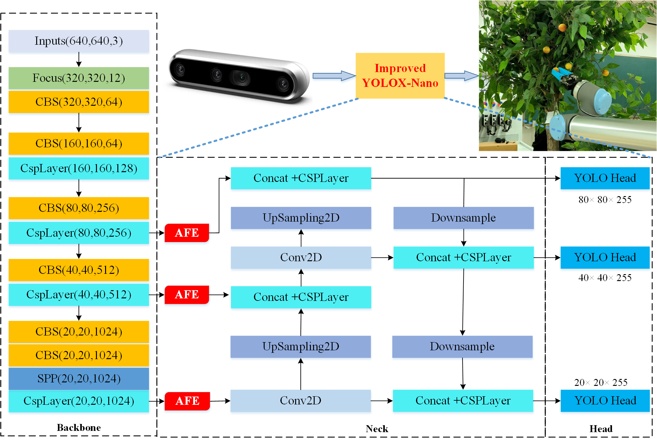 Remote Sensing Free Full Text Real Time Detection Of Winter Jujubes Based On Improved Yolox