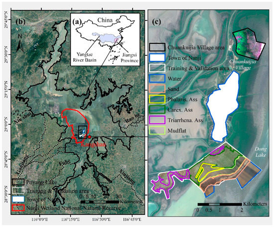Hydrological Drivers for the Spatial Distribution of Wetland Herbaceous ...