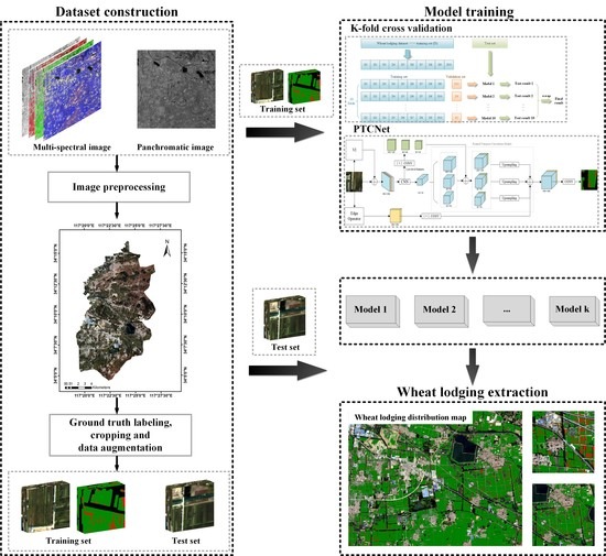 Remote Sensing | Free Full-Text | Winter Wheat Lodging Area Extraction Using Deep Learning with ...