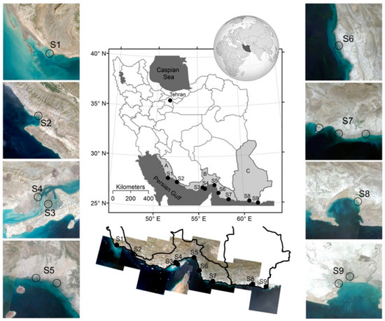 Remote Sensing | Free Full-Text | Assessment of Iran’s Mangrove Forest ...