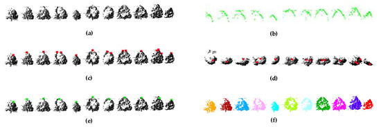 Semantic Segmentation Guided Coarse-to-Fine Detection of Individual ...