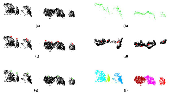 Semantic Segmentation Guided Coarse-to-Fine Detection of Individual ...
