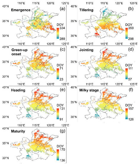 Remote Sensing | Free Full-Text | Characterizing Spatiotemporal Patterns of Winter Wheat ...