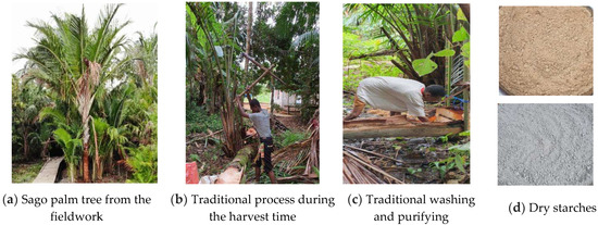 Recognition of Sago Palm Trees Based on Transfer Learning