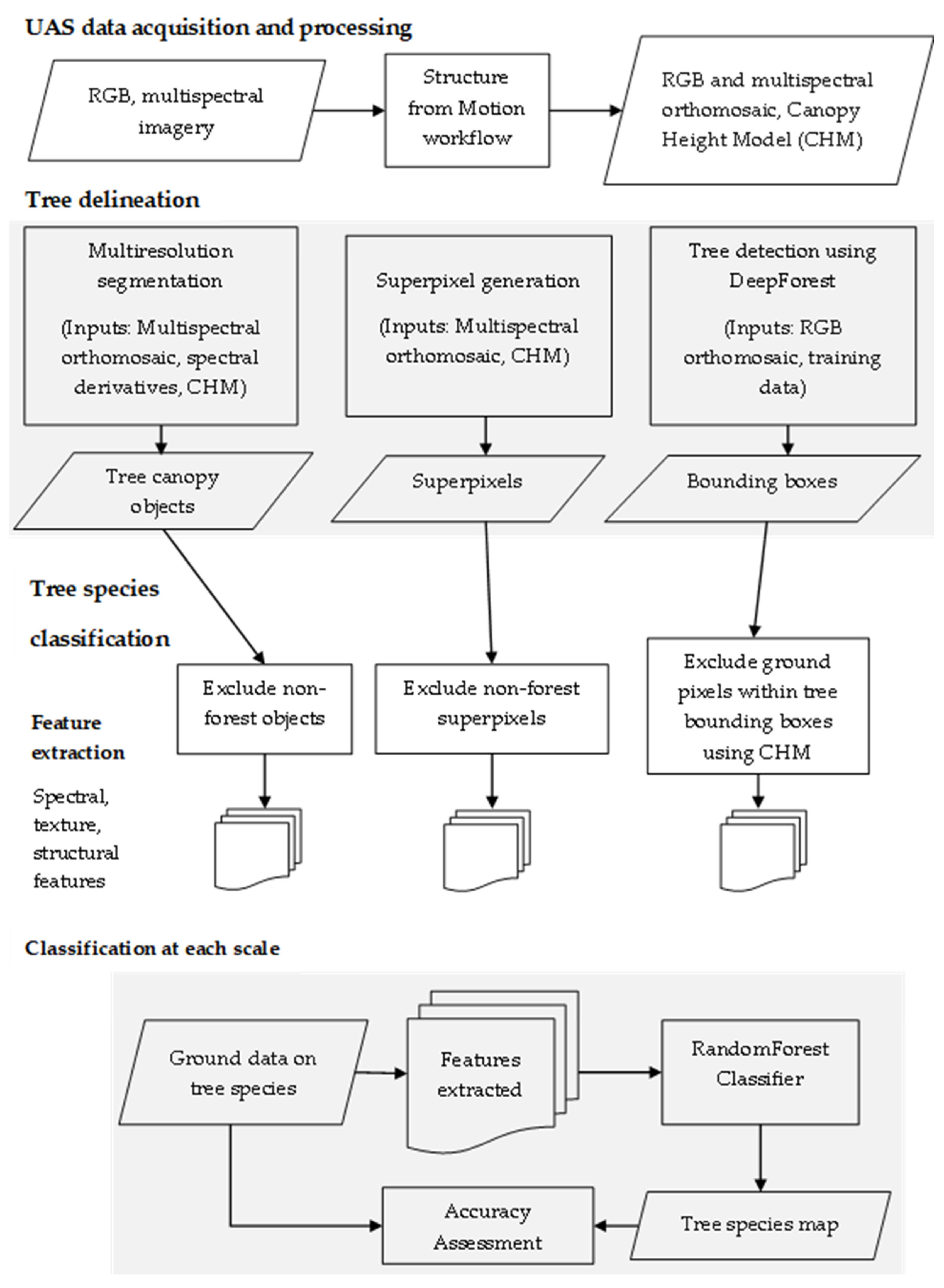 Tree Detection and Species Classification in a Mixed Species Forest ...