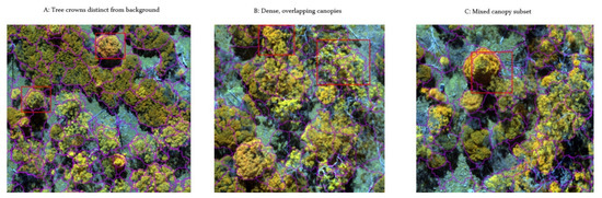 Tree Detection and Species Classification in a Mixed Species Forest ...
