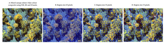 Tree Detection and Species Classification in a Mixed Species Forest ...