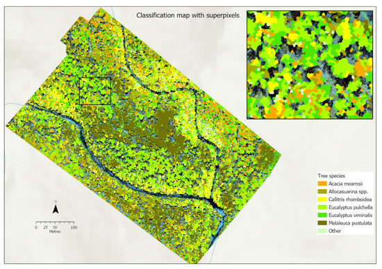 Tree Detection and Species Classification in a Mixed Species Forest ...