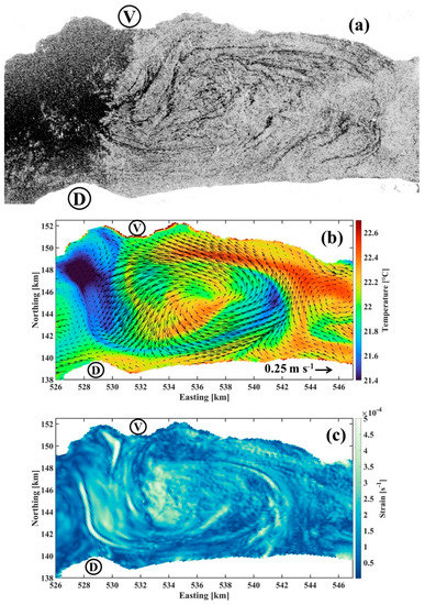 Monitoring Mesoscale to Submesoscale Processes in Large Lakes with ...