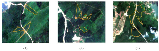 Logging Pattern Detection By Multispectral Remote Sensing Imagery In North Subtropical
