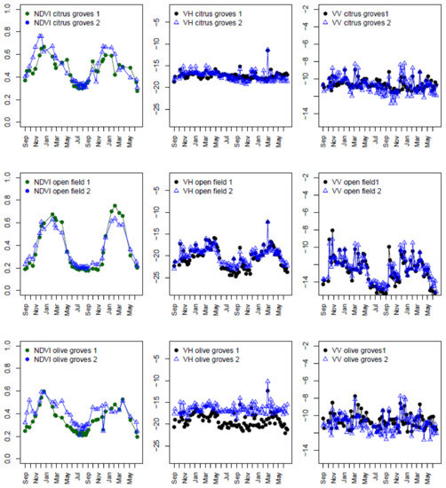 Optimized Software Tools to Generate Large Spatio-Temporal Data Using the Datacubes Concept ...