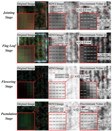 Remote Sensing | Free Full-Text | UAV Remote Sensing Prediction Method of Winter Wheat Yield ...