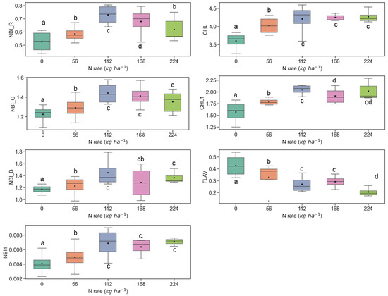 Assessing Nitrogen Variability at Early Stages of Maize Using Mobile Fluorescence Sensing