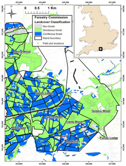 Remote Sensing | Free Full-Text | Towards Forest Condition Assessment: Evaluating Small ...